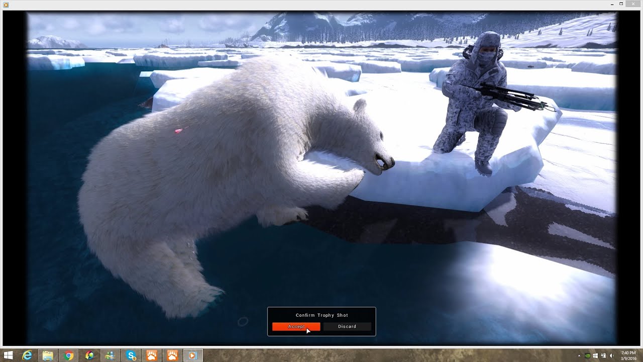 THE HUNTER: DD33's POLAR BEARS are Smart 30.985 GIANT W BOW!!! - YouTube