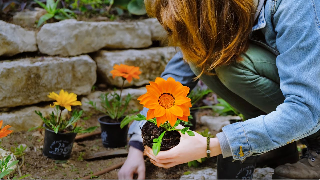 Flower Bed Clean Up - YouTube