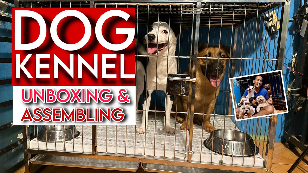New Dog Kennel for Panda & Eve - YouTube
