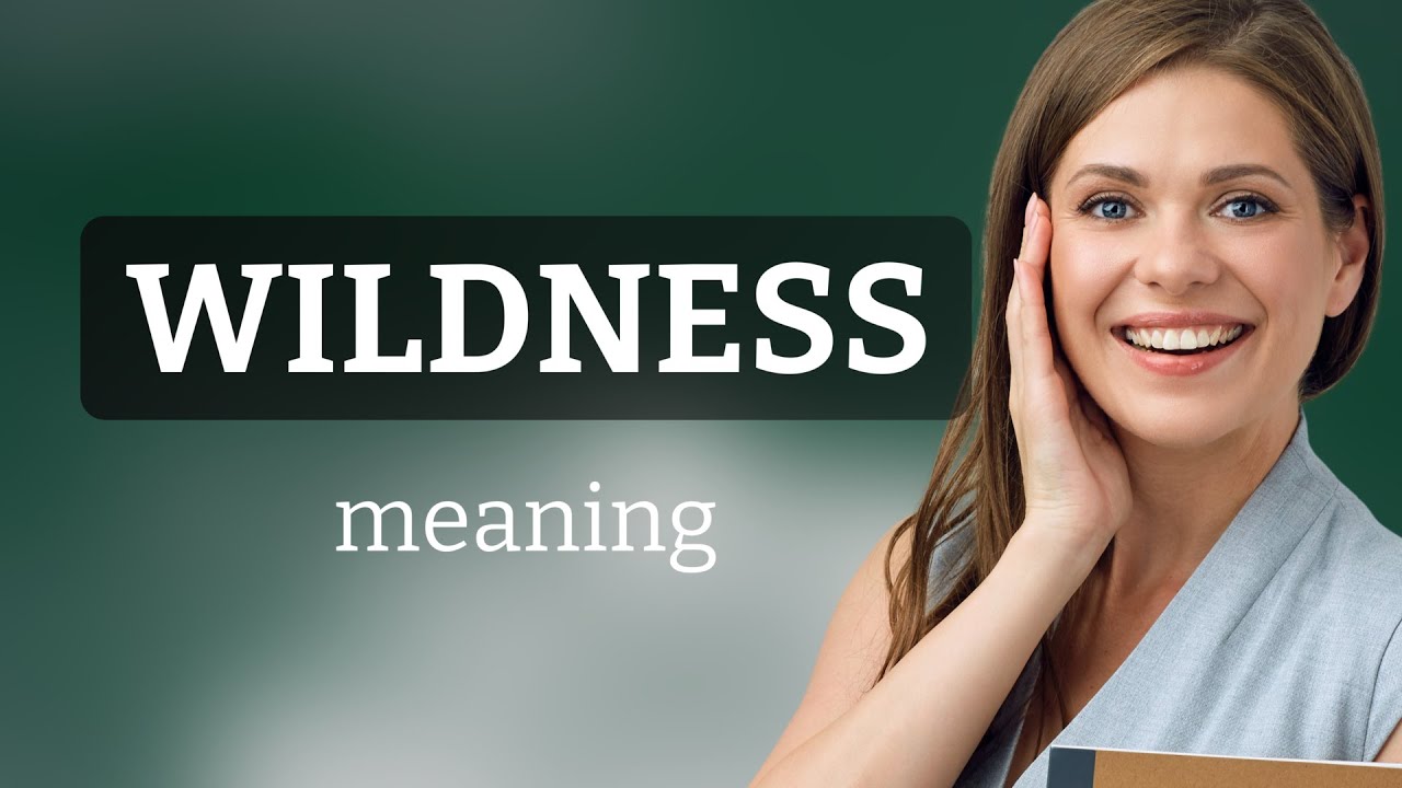 Wildness • definition of WILDNESS - YouTube