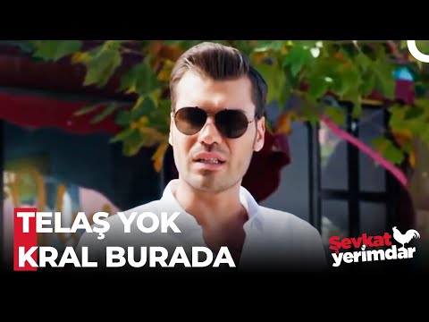 Sorun Çözmek Konusunda Kimse Şevkat'i Geçemez - Şevkat Yerimdar