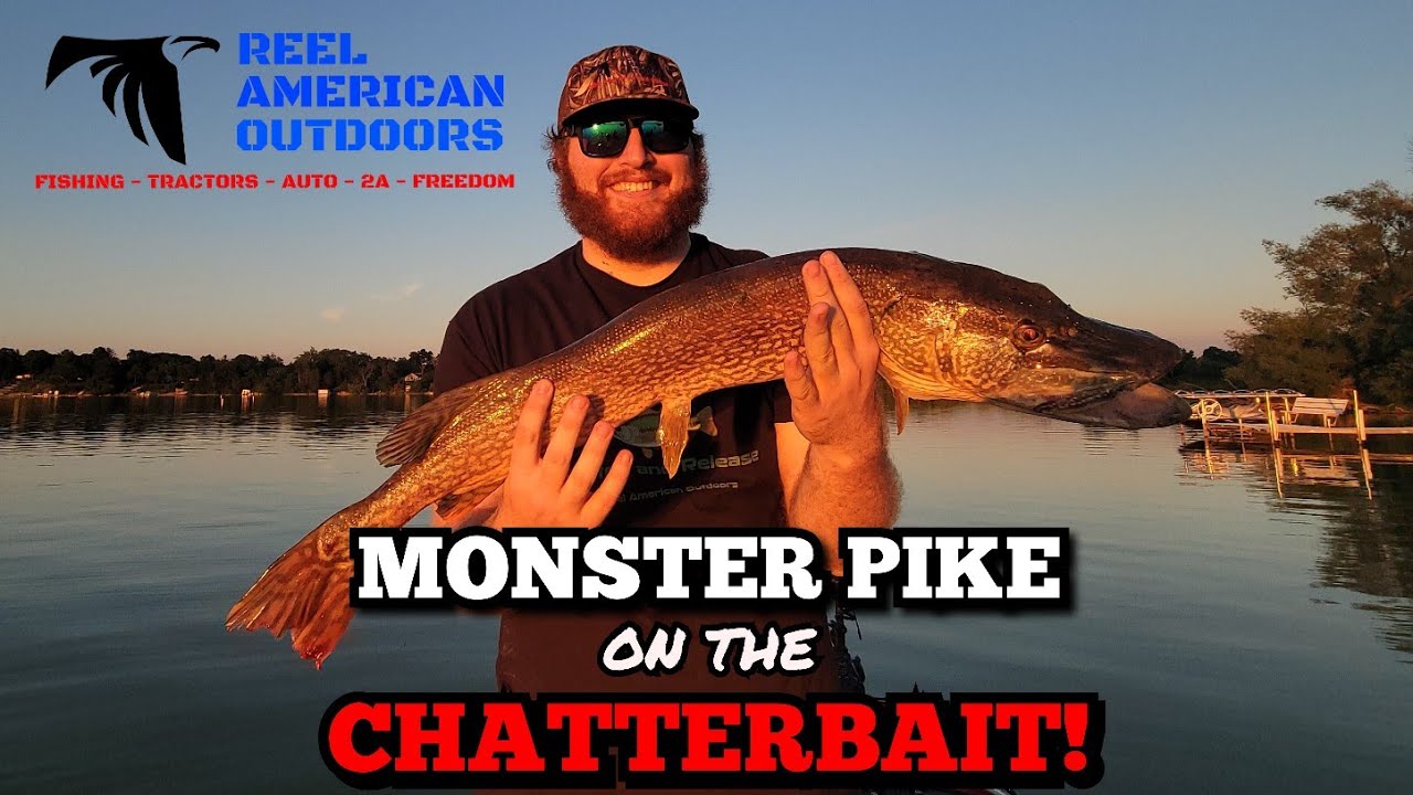Monster Pike! (CHATTERBAIT FISHING) - YouTube
