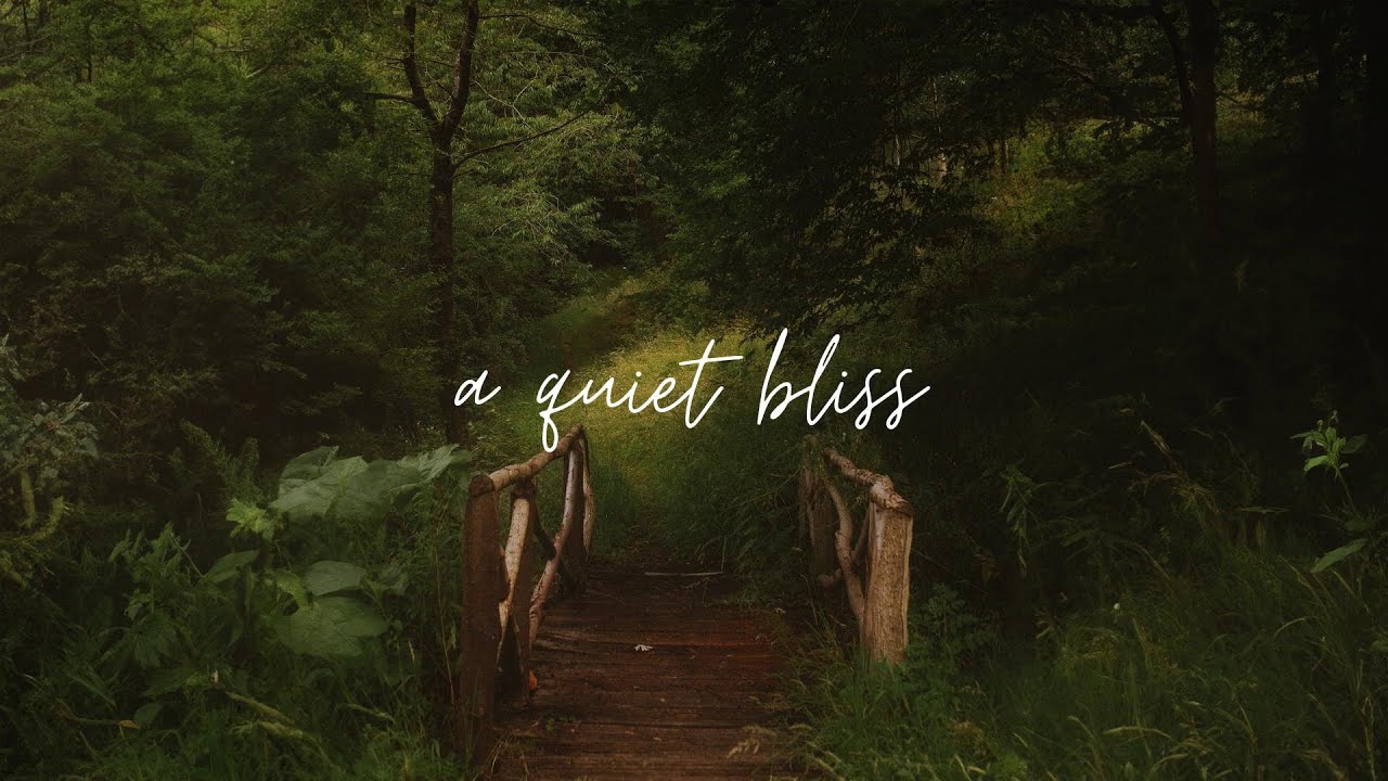 a gentle playlist for a quiet spring - YouTube