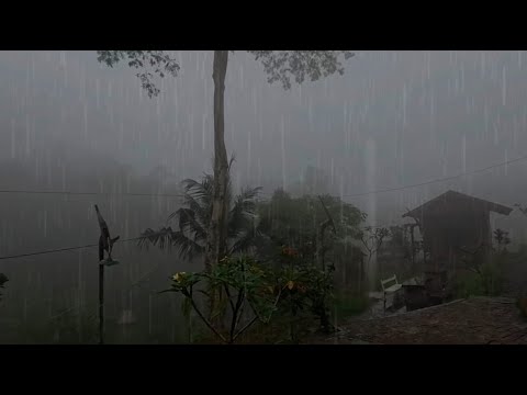 Heavy Rain with Thunder ASMR: Sleep Sounds & Stress Reduction | Rain ...