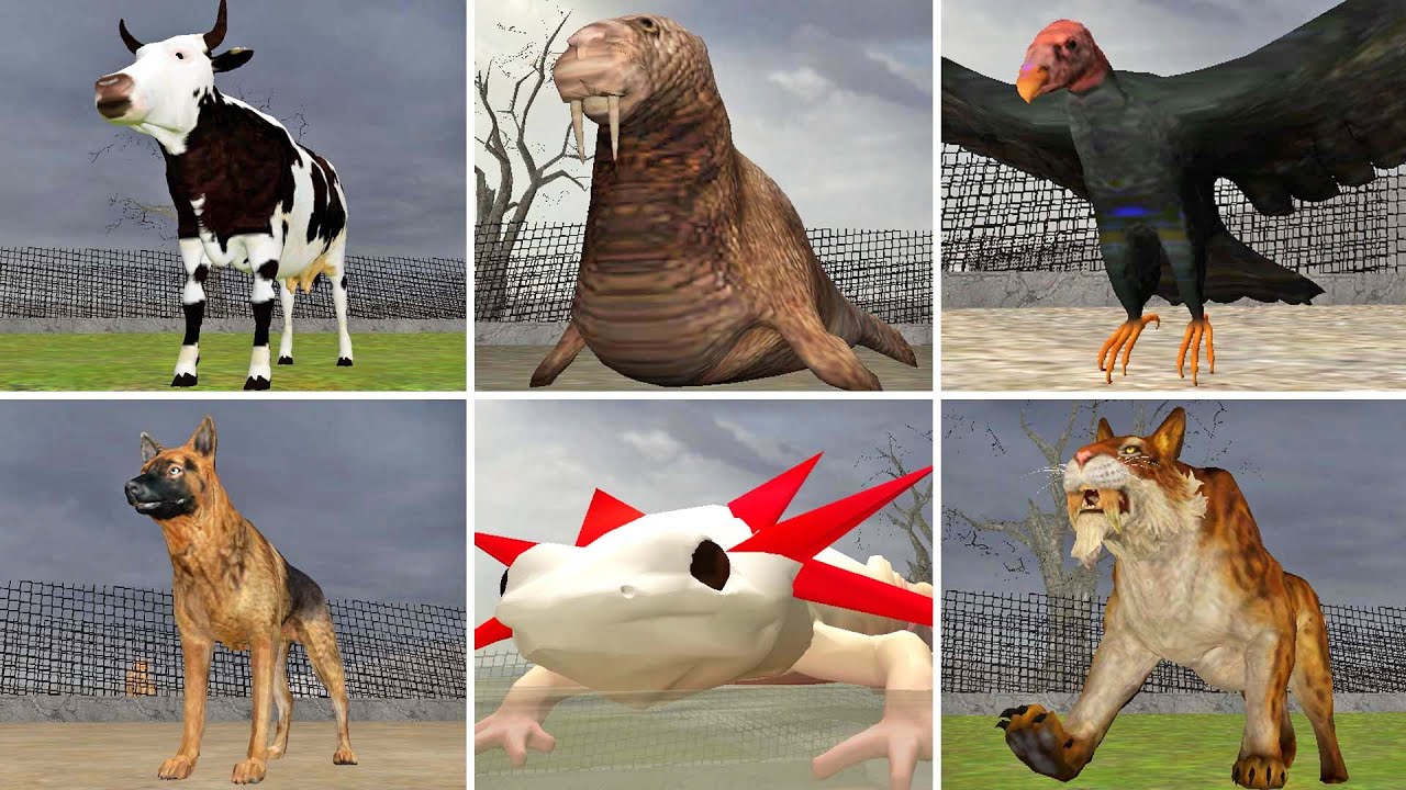 ZOOCHOSIS ALL NEW RELEASE CANDIDATTE ANIMALS MONSTERS ANIMALS & BLUE ...