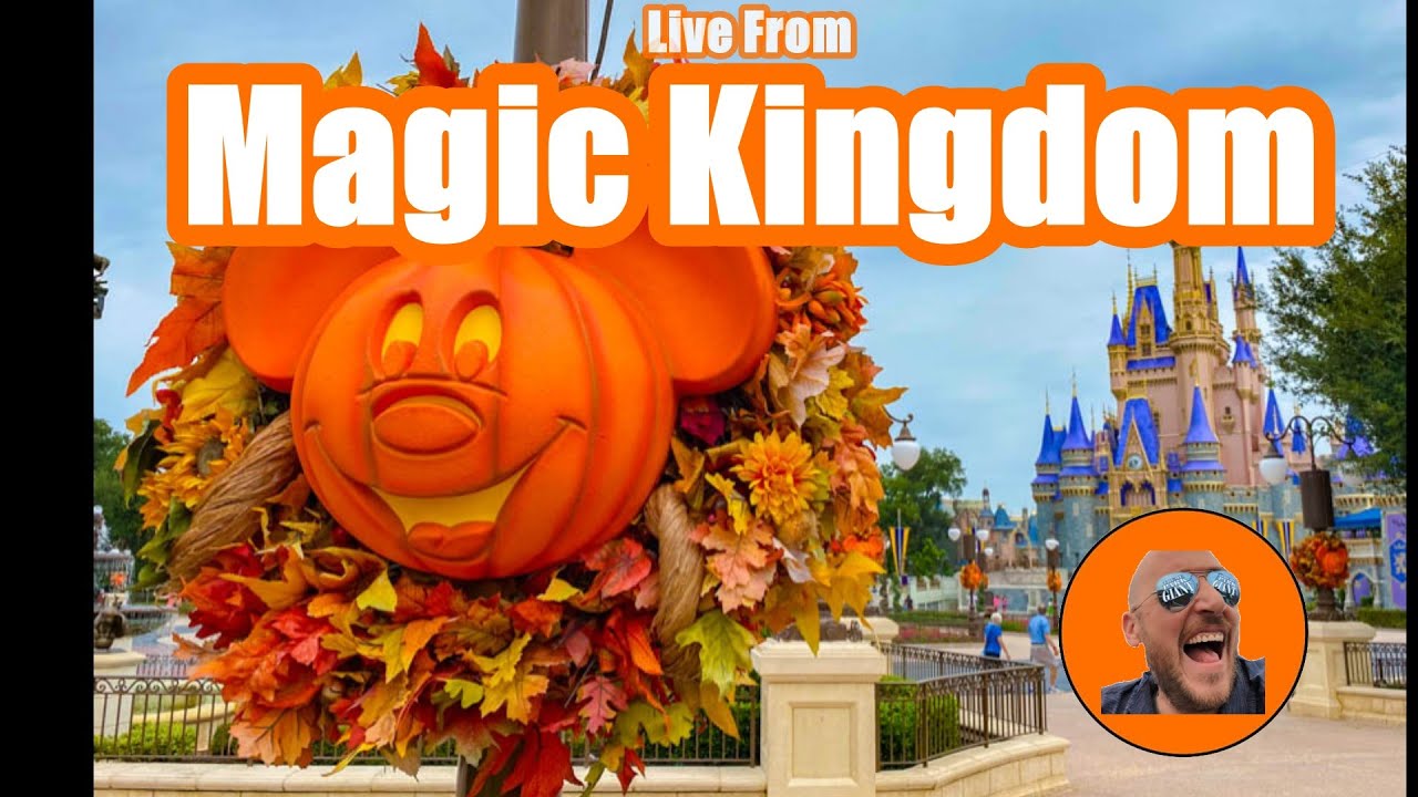 🔴 Walt Disney World LIVE - Magic Kingdom on Halloween! Low Crowds & All ...