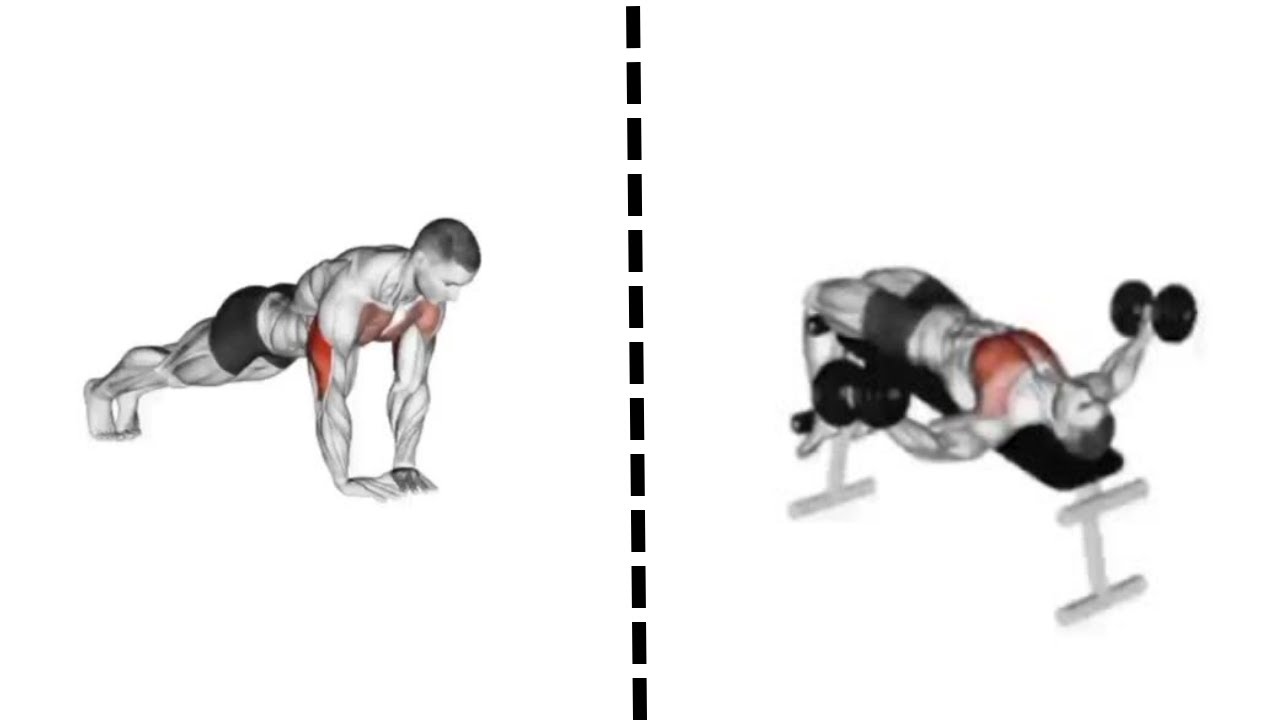 "Build a Stronger Chest: Explosive Gym Workout for Powerful Pecs ...