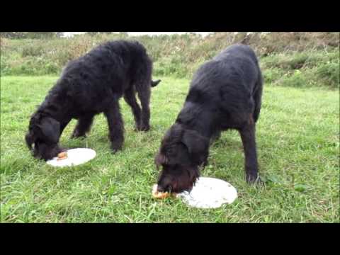 Obi 9 years young 22092016