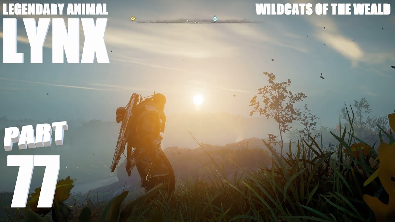 Legendary Animal Lynx - ASSASSIN'S CREED VALHALLA Gameplay Walkthrough ...