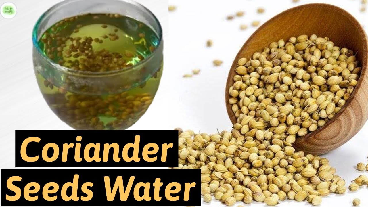 Coriander Seeds Water For Weight Loss | Dhania Water - How To Make ...