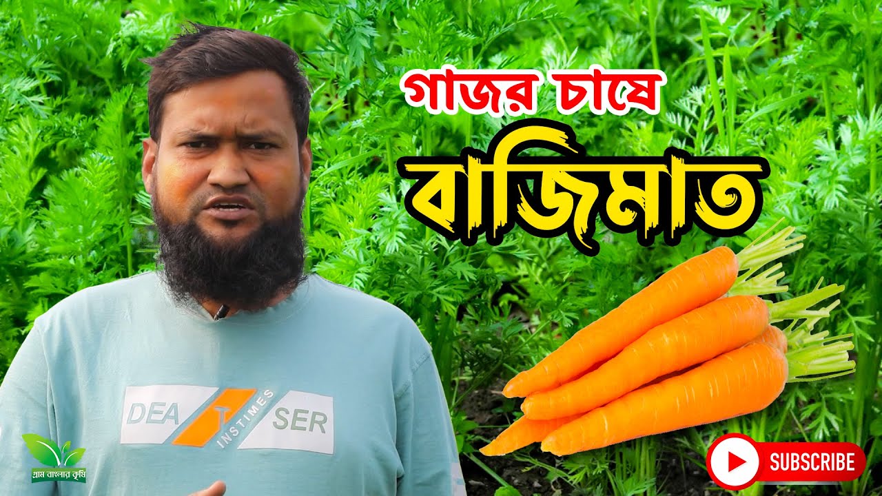 Gajor Chas || গাজর চাষ || গাজর চাষে বাজিমাত || Gajor Farming || Gram ...