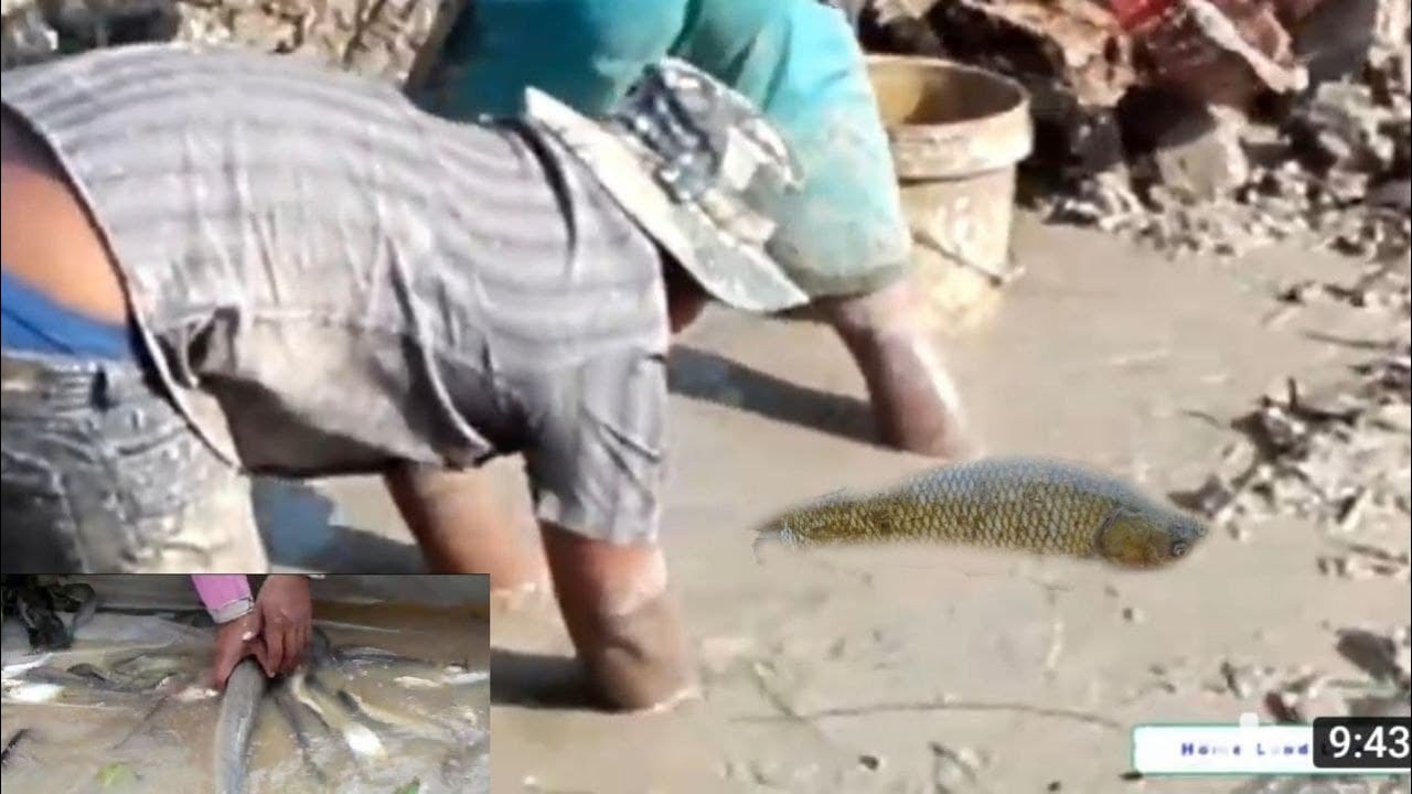 Pumping water to catch fish | Unique Mud Fishing Video Find Fish and ...