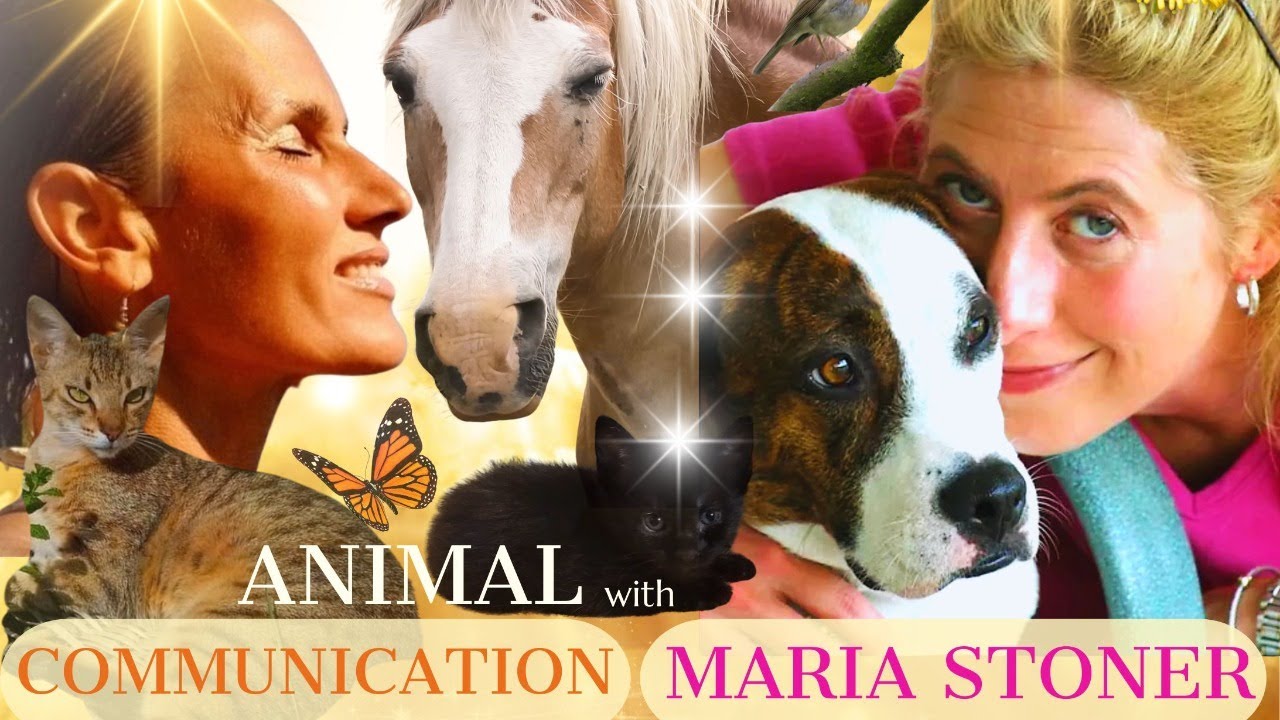 ANIMAL COMMUNICATION with MARIA STONER - YouTube