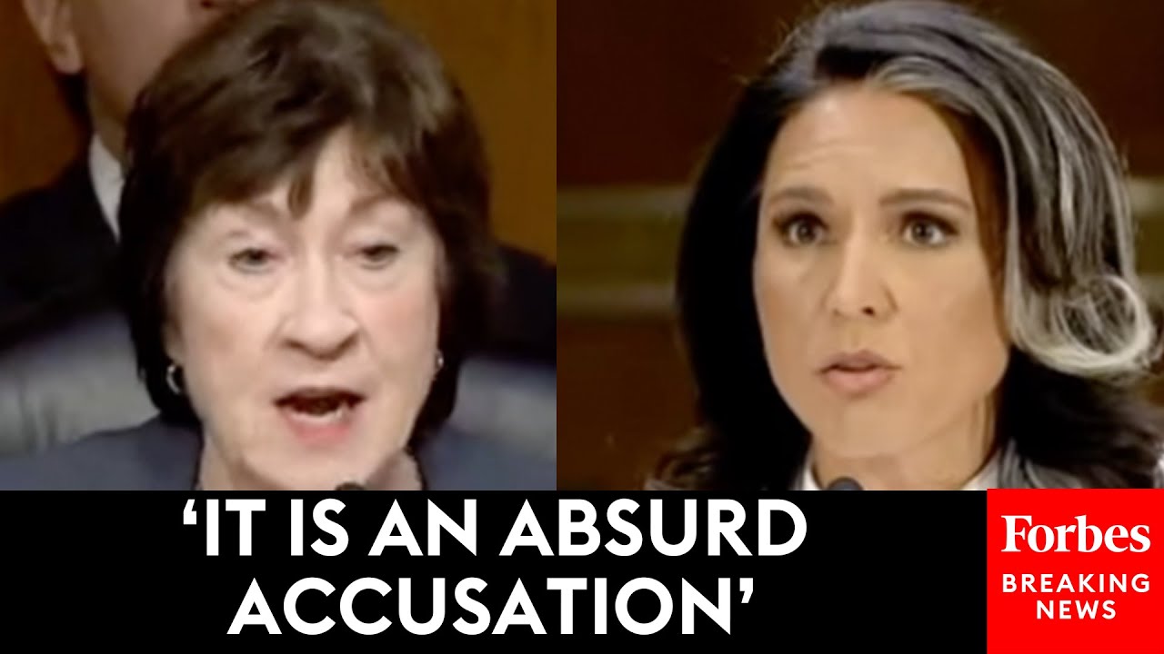 Susan Collins Confronts Tulsi Gabbard With 'Speculations By The Press ...