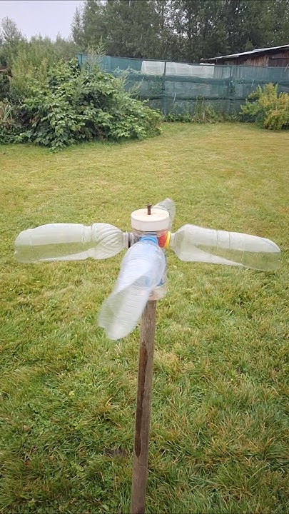 Самоделка приспособление для отпугивания птиц своими руками #diy #tool ...