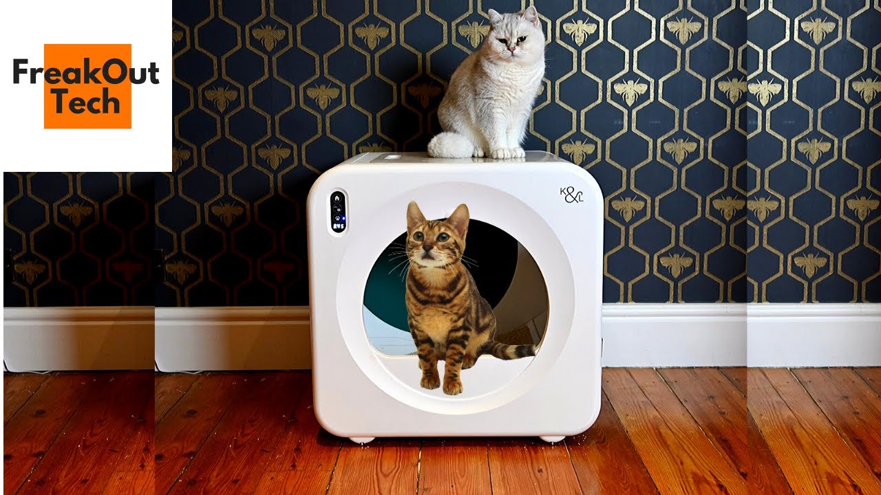 5 Amazing Cat Inventions You Will Love - YouTube