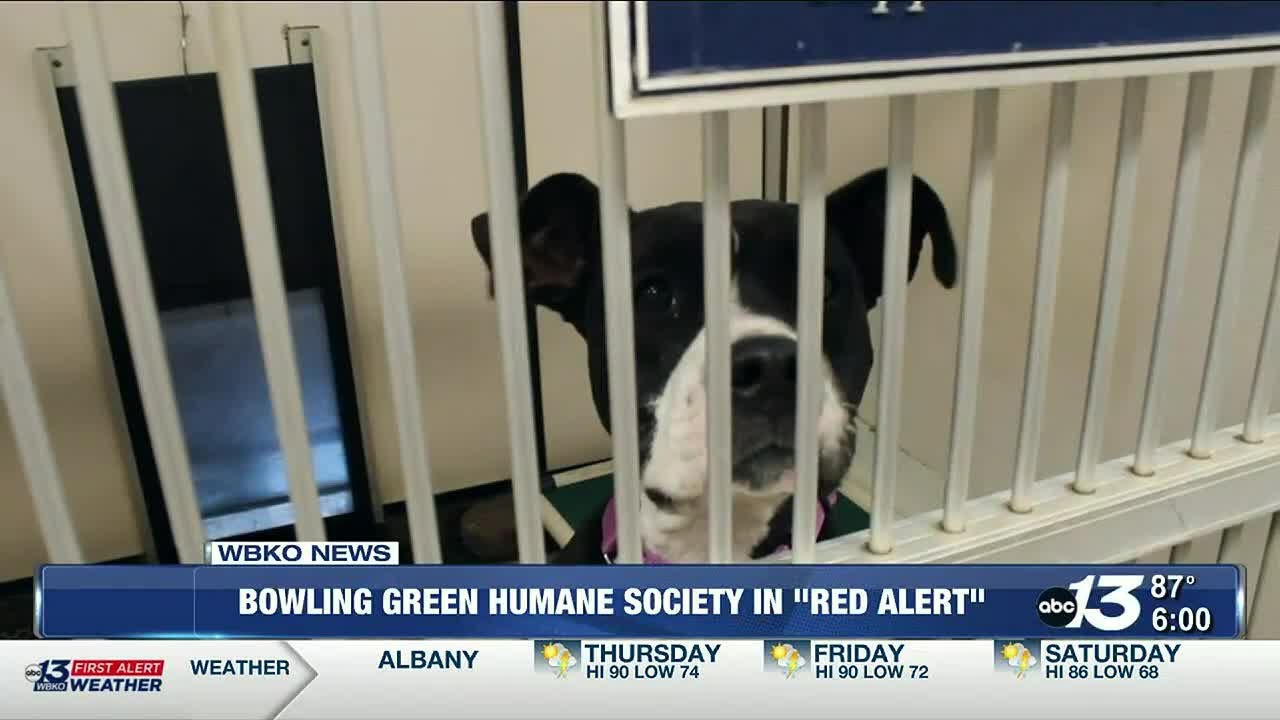 Bowling Green-Warren County Humane Society in 'Code Red' - YouTube