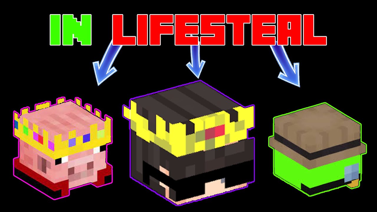 HOW I OBTAIN EVERY MEMBERS HEAD IN LIFESTEAL SMP - YouTube