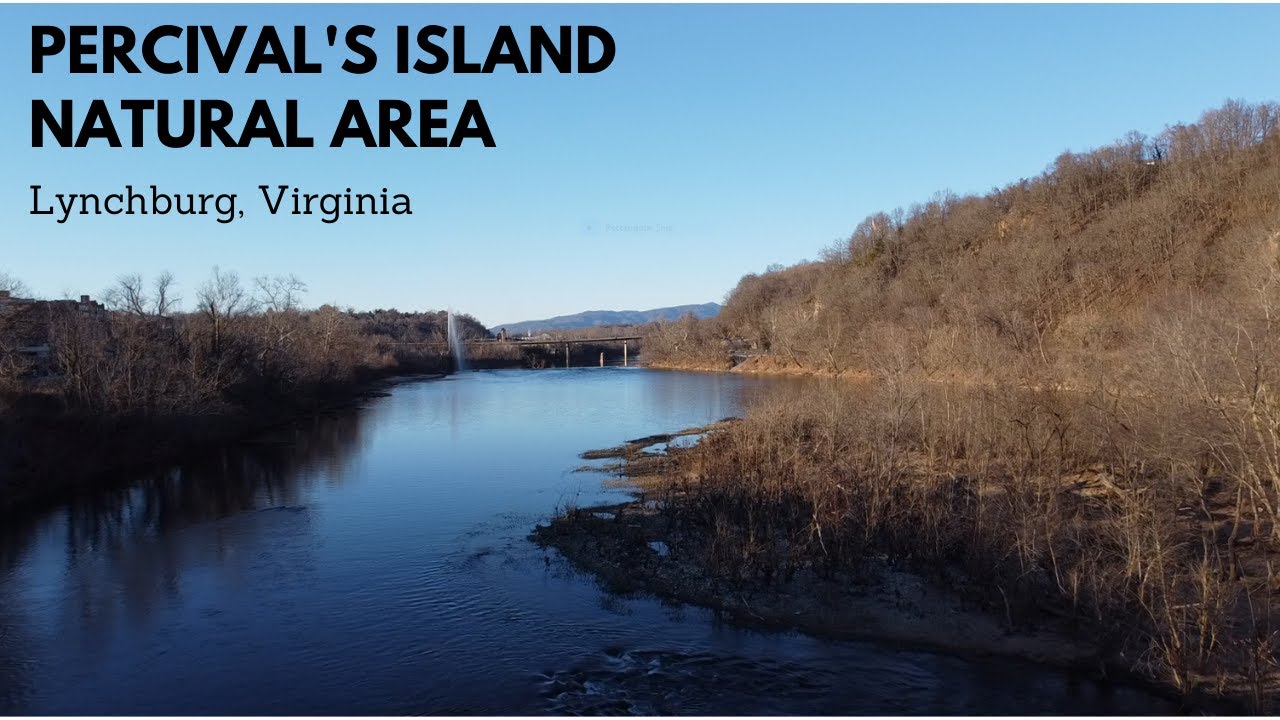 Percival's Island Natural Area Drone Footage // DJI Mini 2 - YouTube