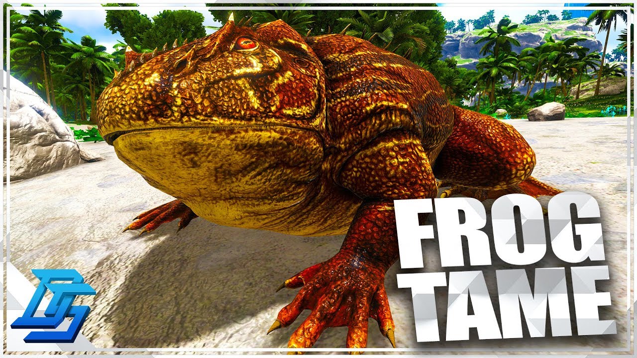 Frog Tame , Playing with Wyverns- Catch'em All - Ark Survival Evolved ...