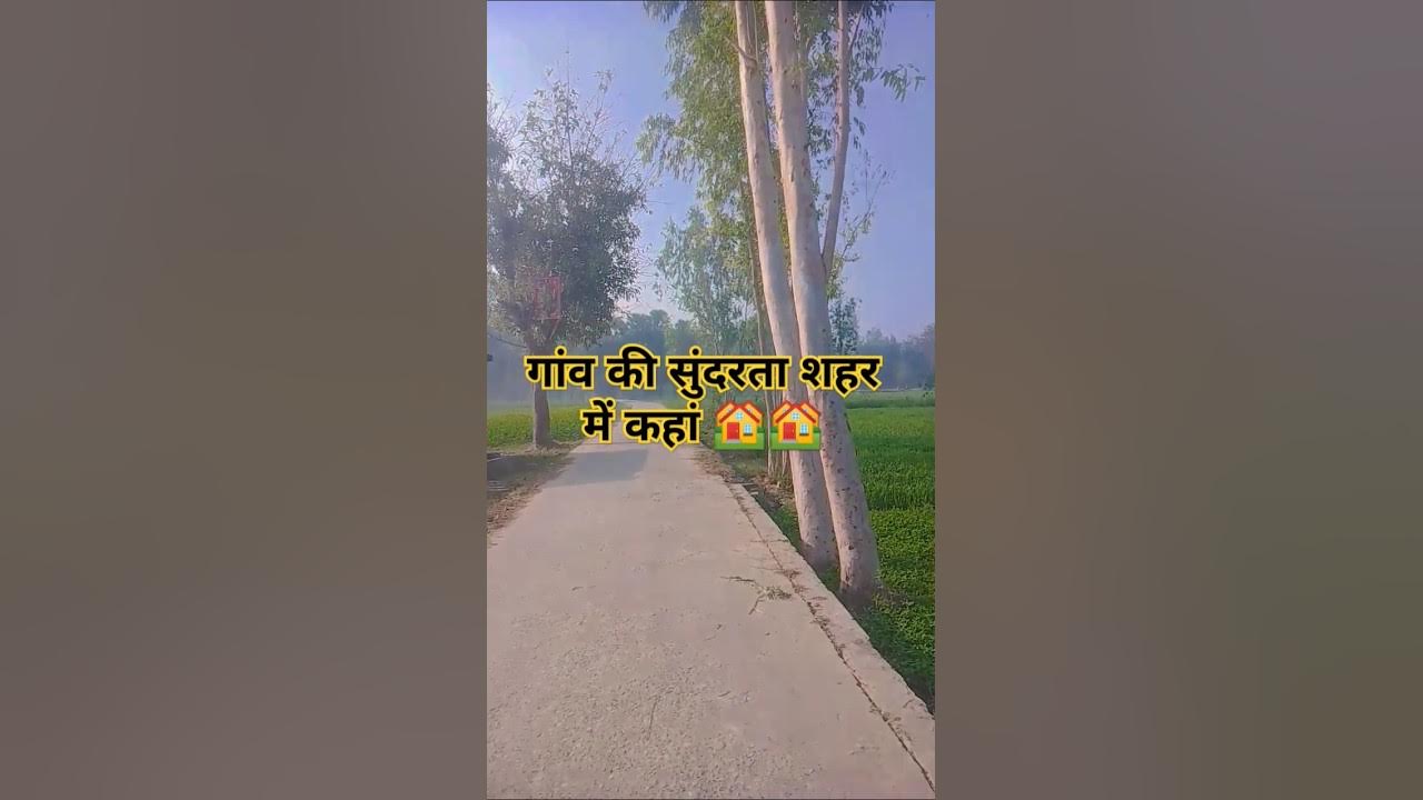 Beautiful village life 🏘️🏘️ gaon Ka Sundar drishya#villagelife #villagevlog #kheti badi - YouTube