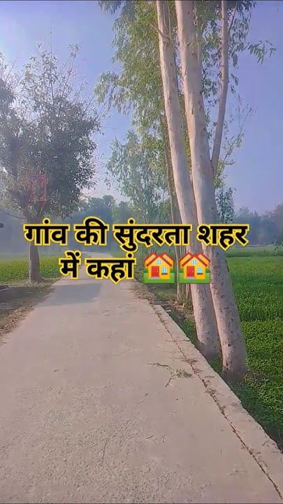 Beautiful village life 🏘️🏘️ gaon Ka Sundar drishya#villagelife #villagevlog #kheti badi - YouTube