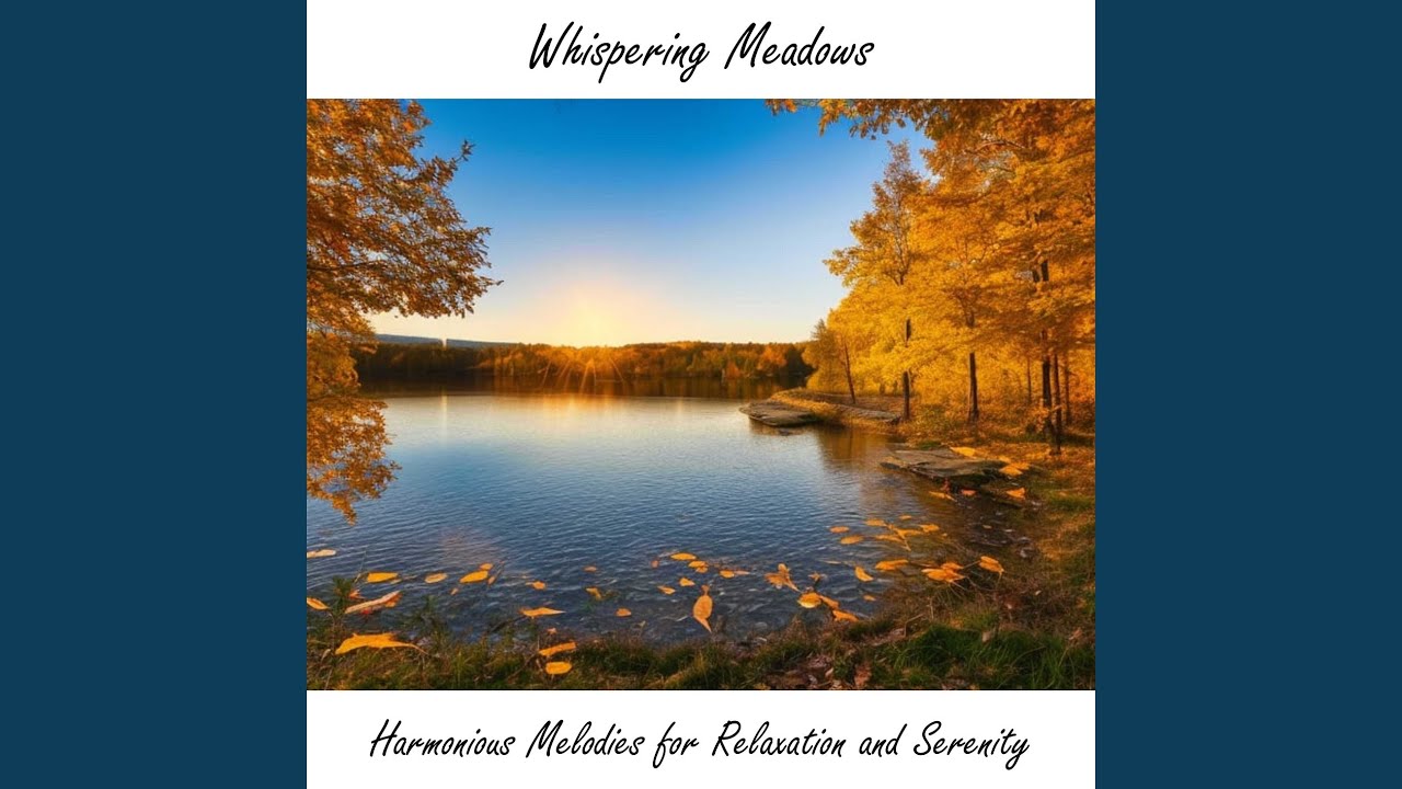 Stillness in Motion - YouTube