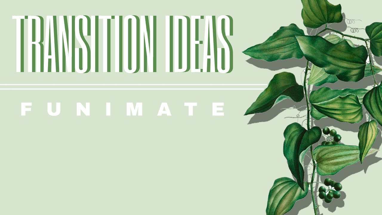 transition ideas for funimate (p.4) - YouTube