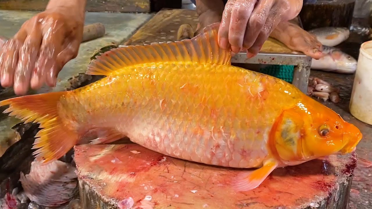Amazing Orange Carp Fish Cutting BD | Live New Style Orange Color Fish ...