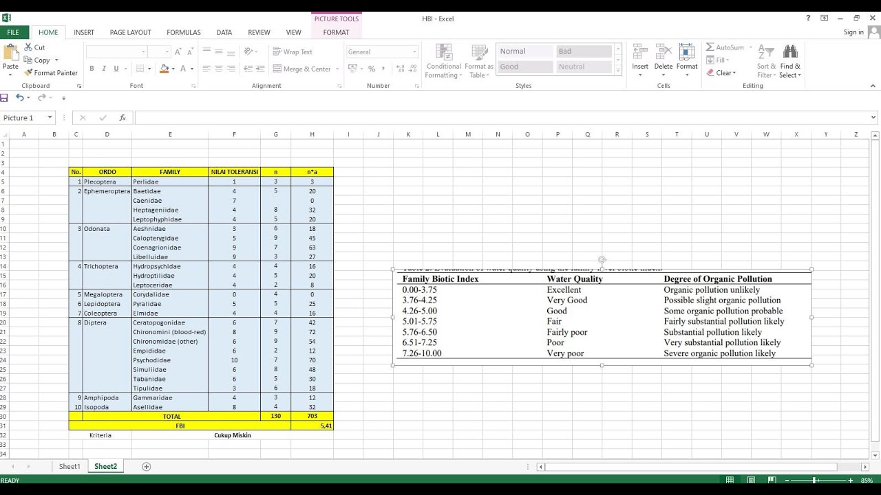 ANALISIS FAMILI BIOTIK INDEKS DENGAN EXCEL - YouTube