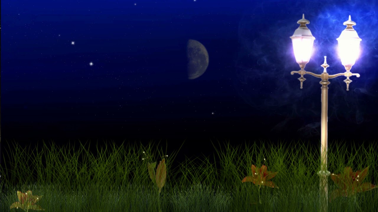 Nature sounds for relaxing & sleep…night time crickets, Night time ...