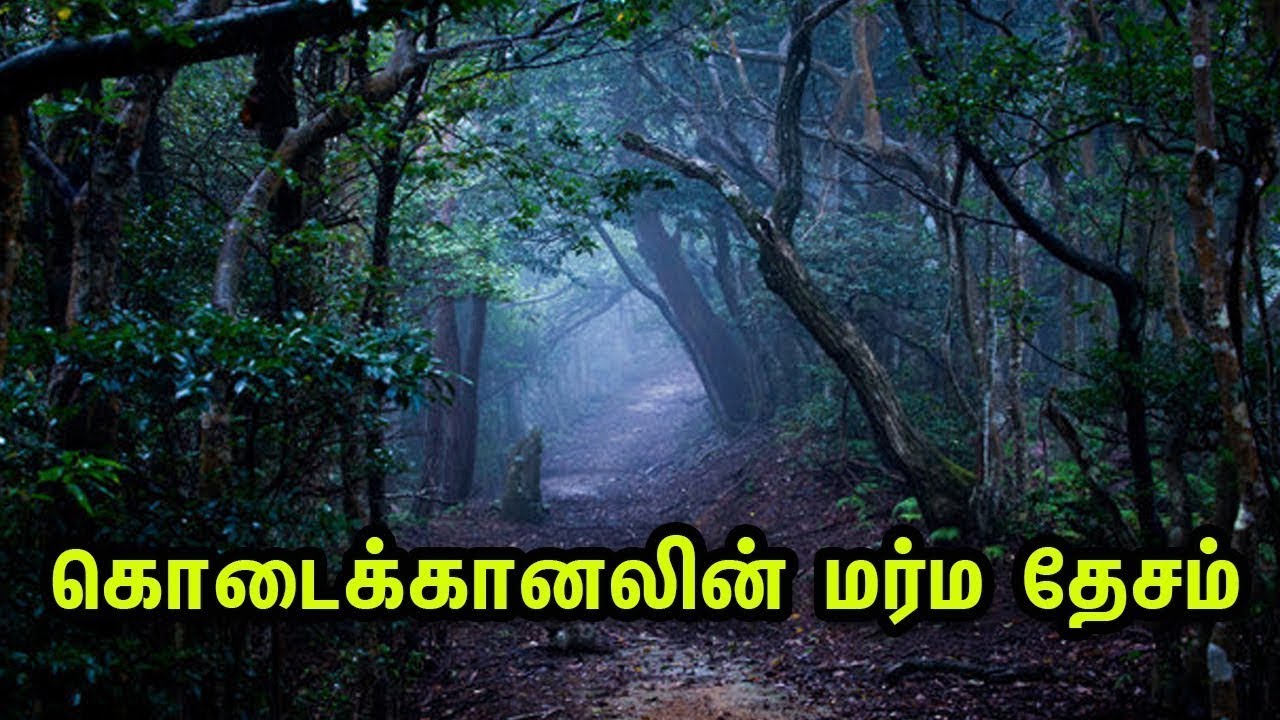 Madhi kettan solai forest kodaikanal | tamil - YouTube