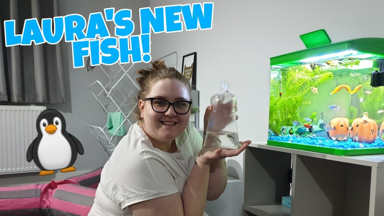 LAURA'S NEW FISH! 😊 - YouTube