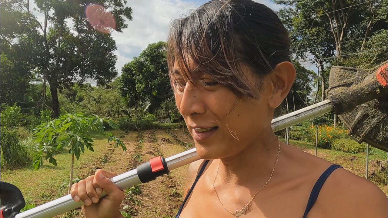 Farm updates at King Tower Farm (2020) - YouTube