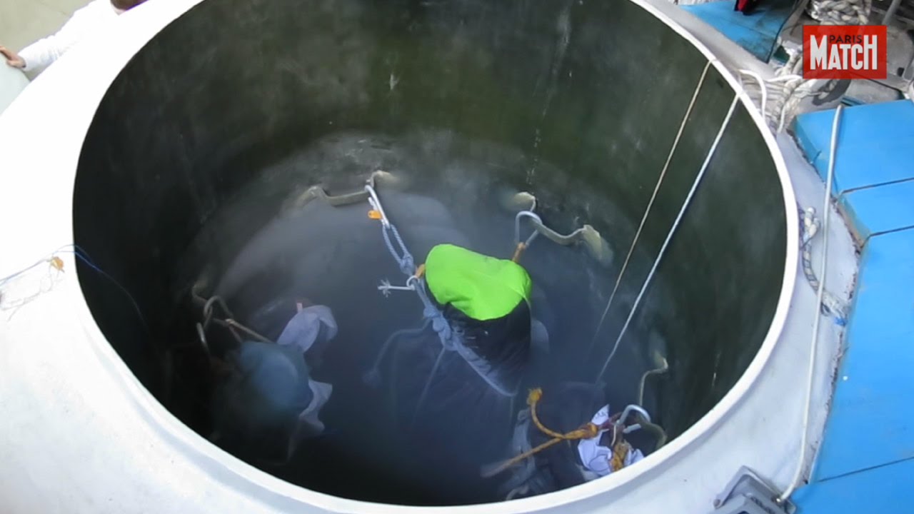 La cryogénisation, passeport pour la vie éternelle - YouTube