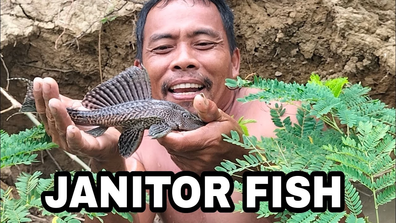 JANITOR FISH 🐟 ANG OLAM NAMIN / KUYA JONY VLog / - YouTube