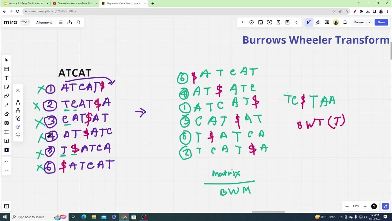 Burrows Wheeler Transform | LF Mapping | BWM, BWM(T), BWT (T), SA(T), LFM | Bioinformatics - YouTube