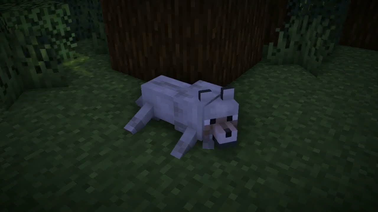 Angry wolf | minecraft animation - YouTube