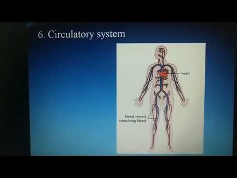 Grade 3 SCIENCE L No 2 Part 1 Human Body - YouTube