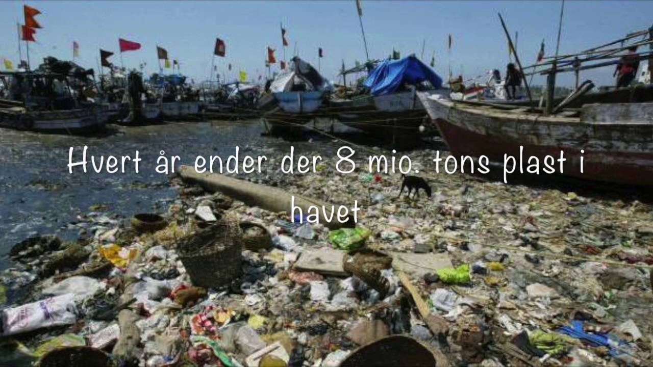 Plastik i havet - YouTube