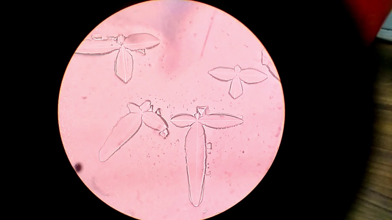 Full HD beautiful crystals under microscope - YouTube