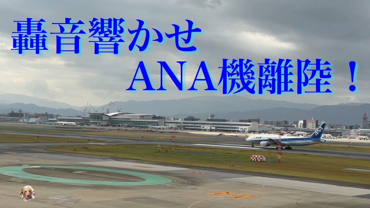 【ジェット旅客機】轟音響かせANA機離陸 - YouTube