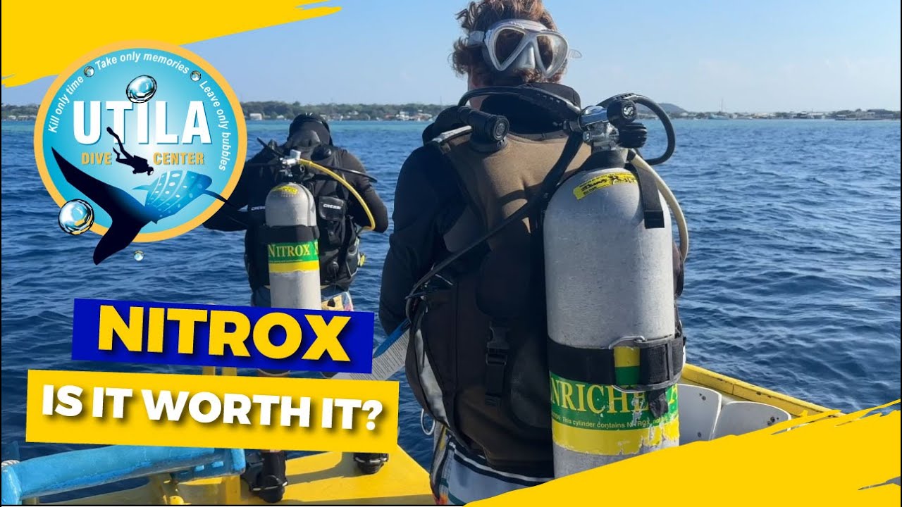 NITROX - IS IT REALLY WORTH IT? - UTILA DIVE CENTER - YouTube