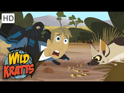Wild Kratts | Termites Versus Tongues | Full Episode | Season 2