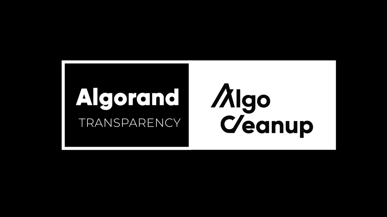 Algo Cleanup Transparency | Algorand Blockchain - YouTube