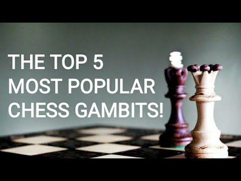 The top 5 most popular Chess Gambits! every chess player should Know ...