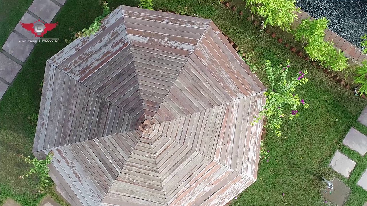 THEMIS MUDHOUSE SAMPLA !! GAUR TIPS - YouTube