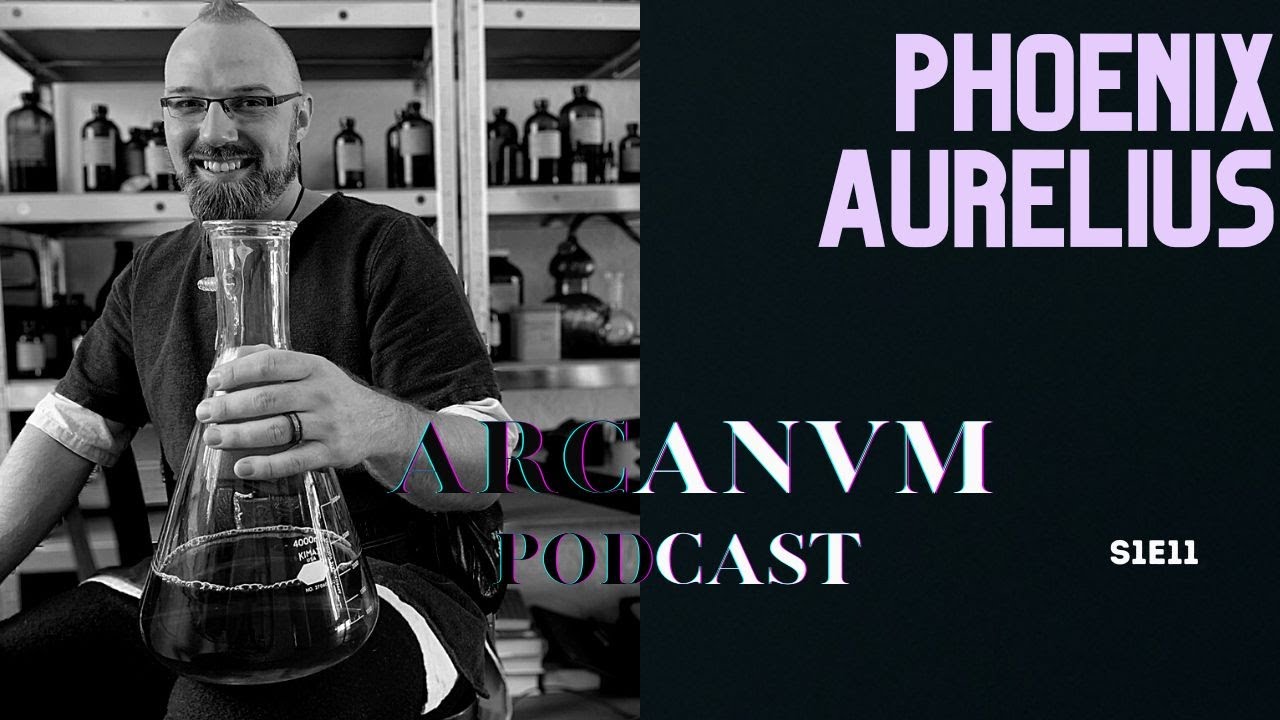 "Quantum Observation, Alchemiculture, & Navigating the Fever-Dream ...