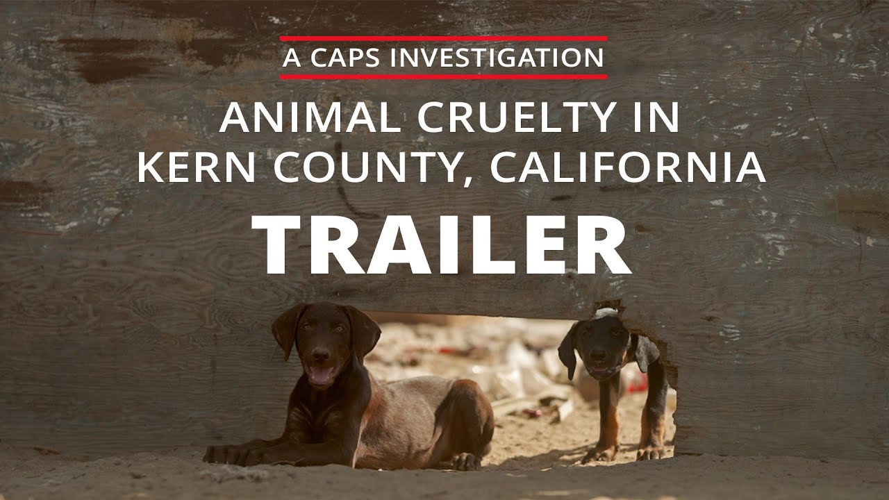 Kern Animal Cruelty Trailer - YouTube