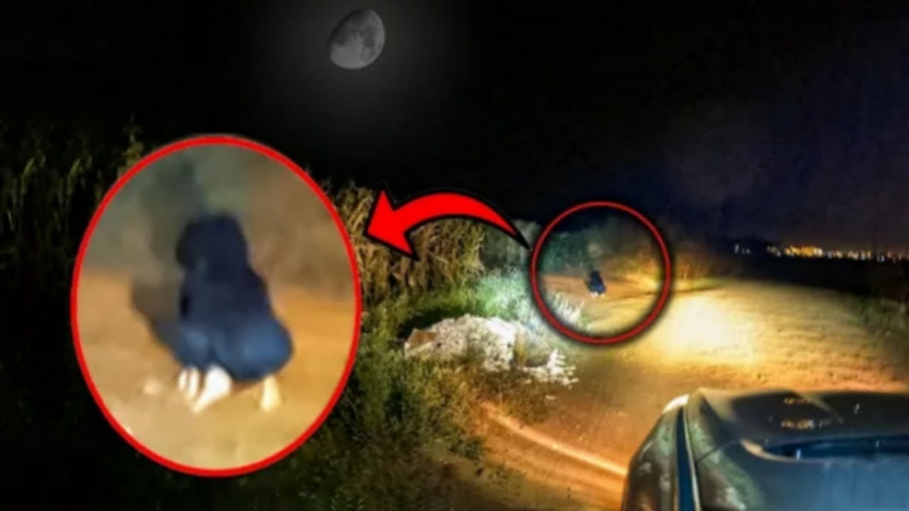 Top 10 SCARY Videos That'll Freak You Out At 3AM ! - YouTube